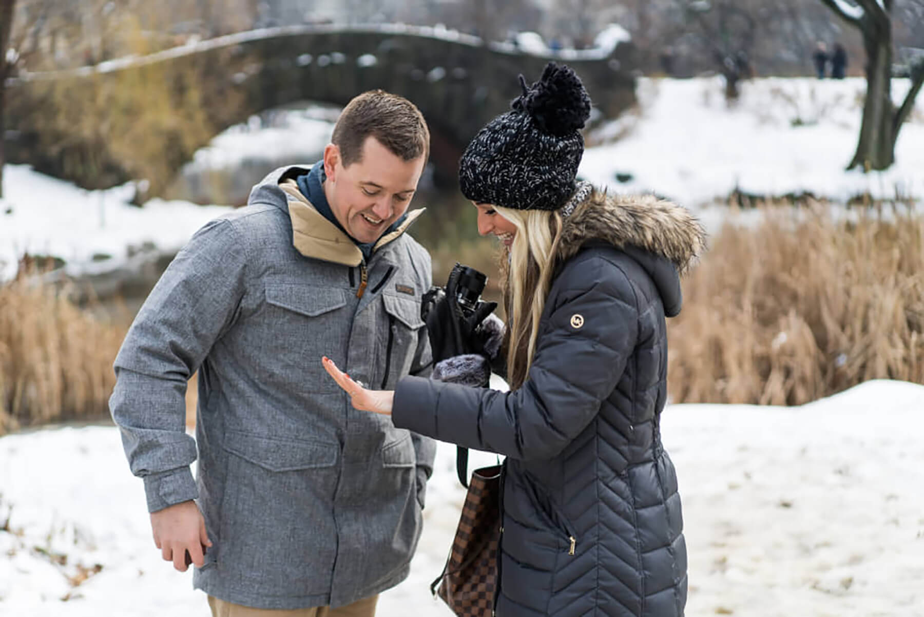 Vanessa and Shane’s proposal at Gapstow Bridge, Central Park | Proposal ...