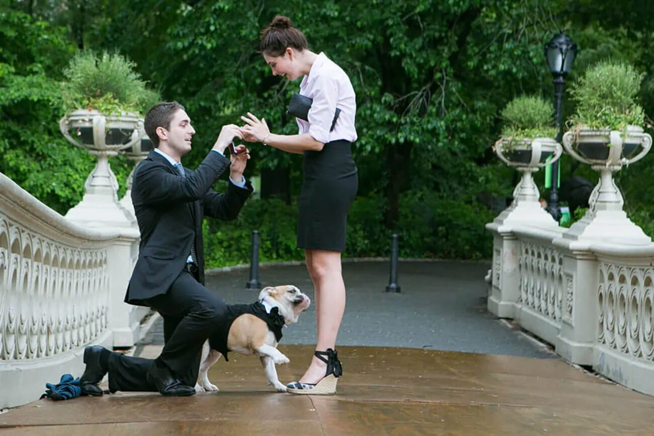 How to Include Your Dog into the Marriage Proposal | Proposal Ideas and ...