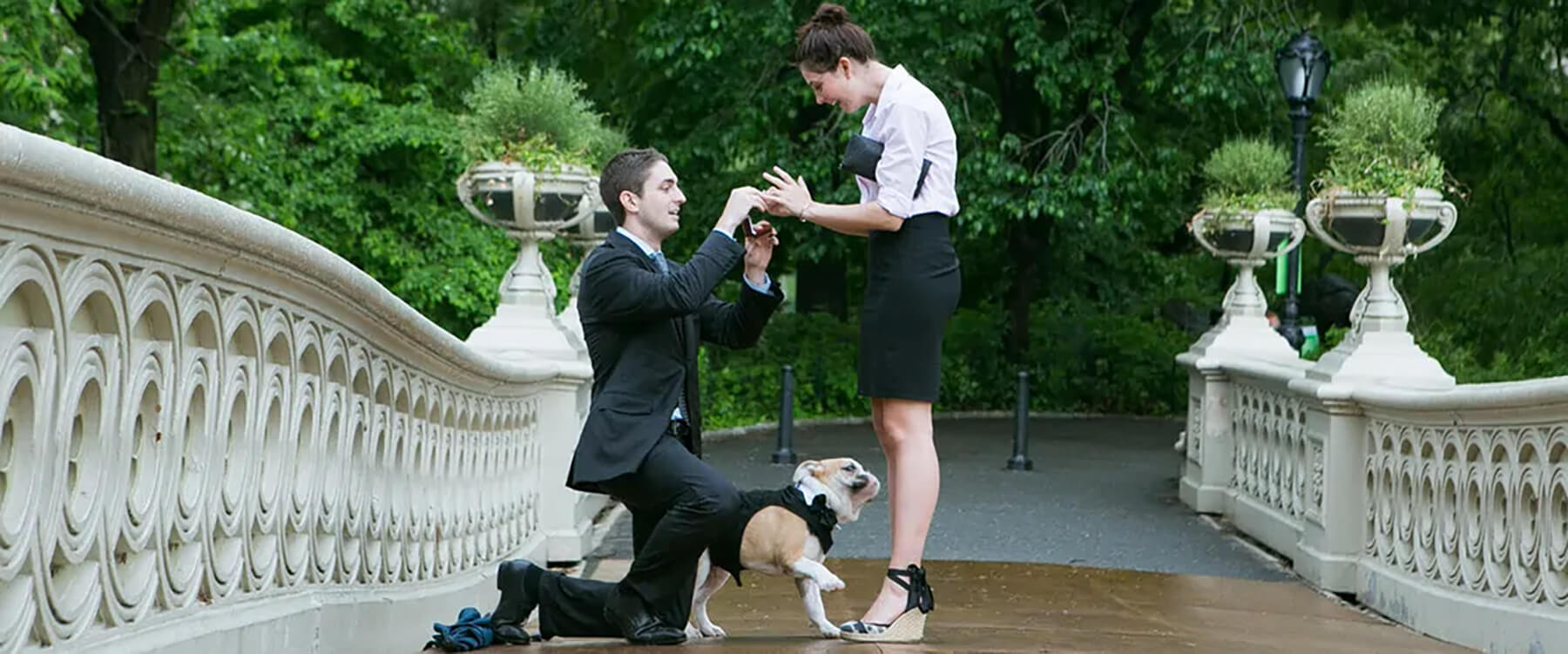 How to Include Your Dog into the Marriage Proposal | Proposal Ideas and ...