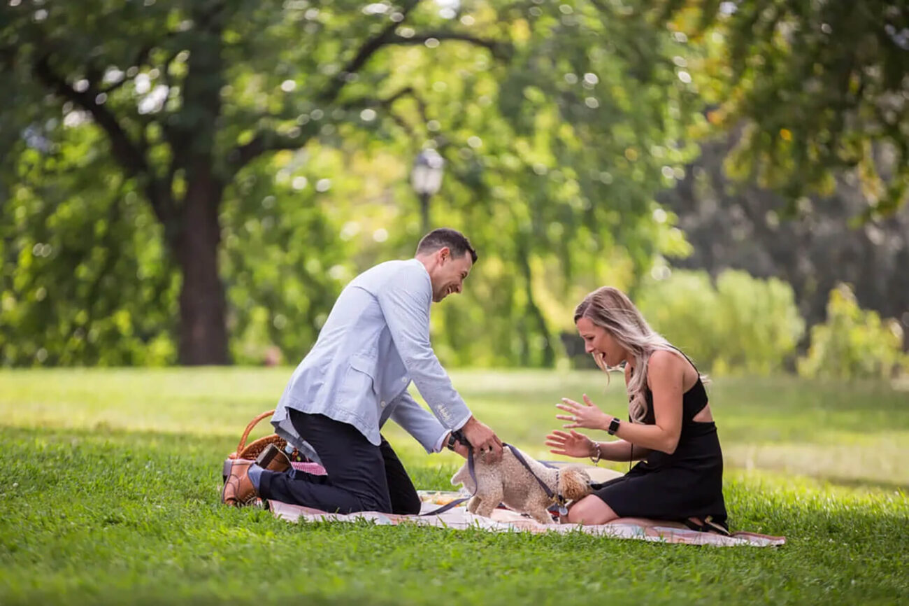 How to Include Your Dog into the Marriage Proposal | Proposal Ideas and ...