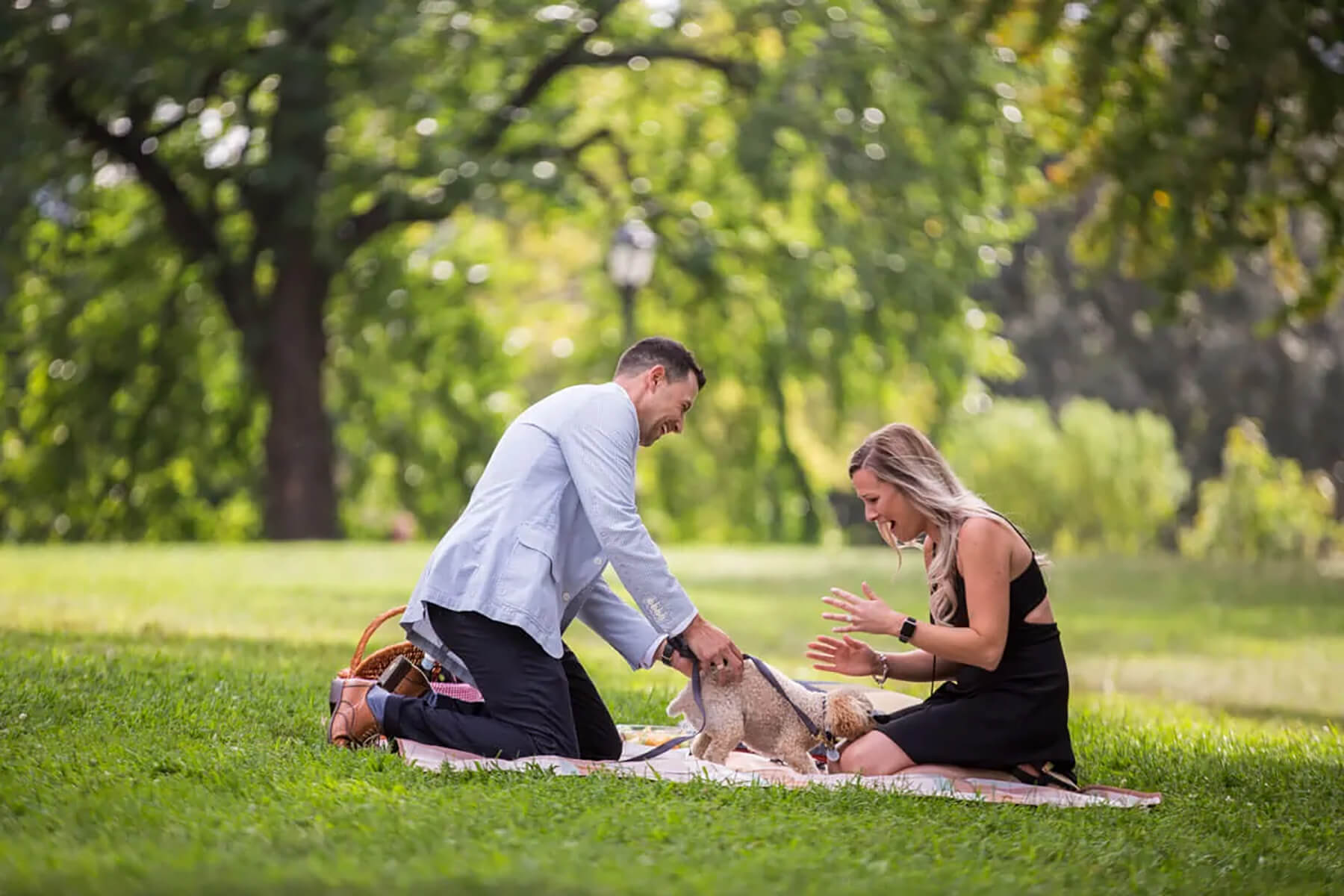 How to Include Your Dog into the Marriage Proposal | Proposal Ideas and ...