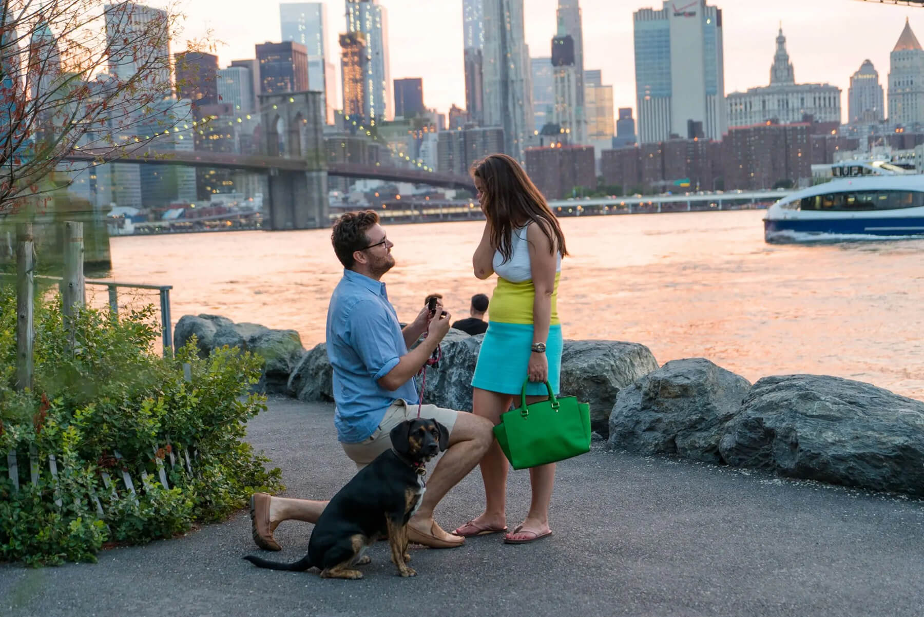 How to Include Your Dog into the Marriage Proposal | Proposal Ideas and ...