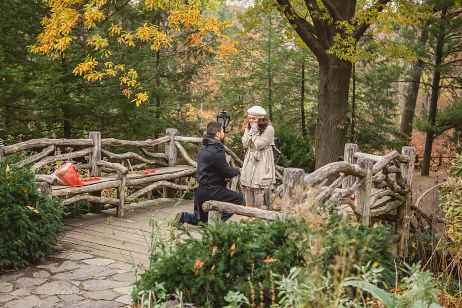 Fall Proposal Ideas | Proposal Ideas and Planning