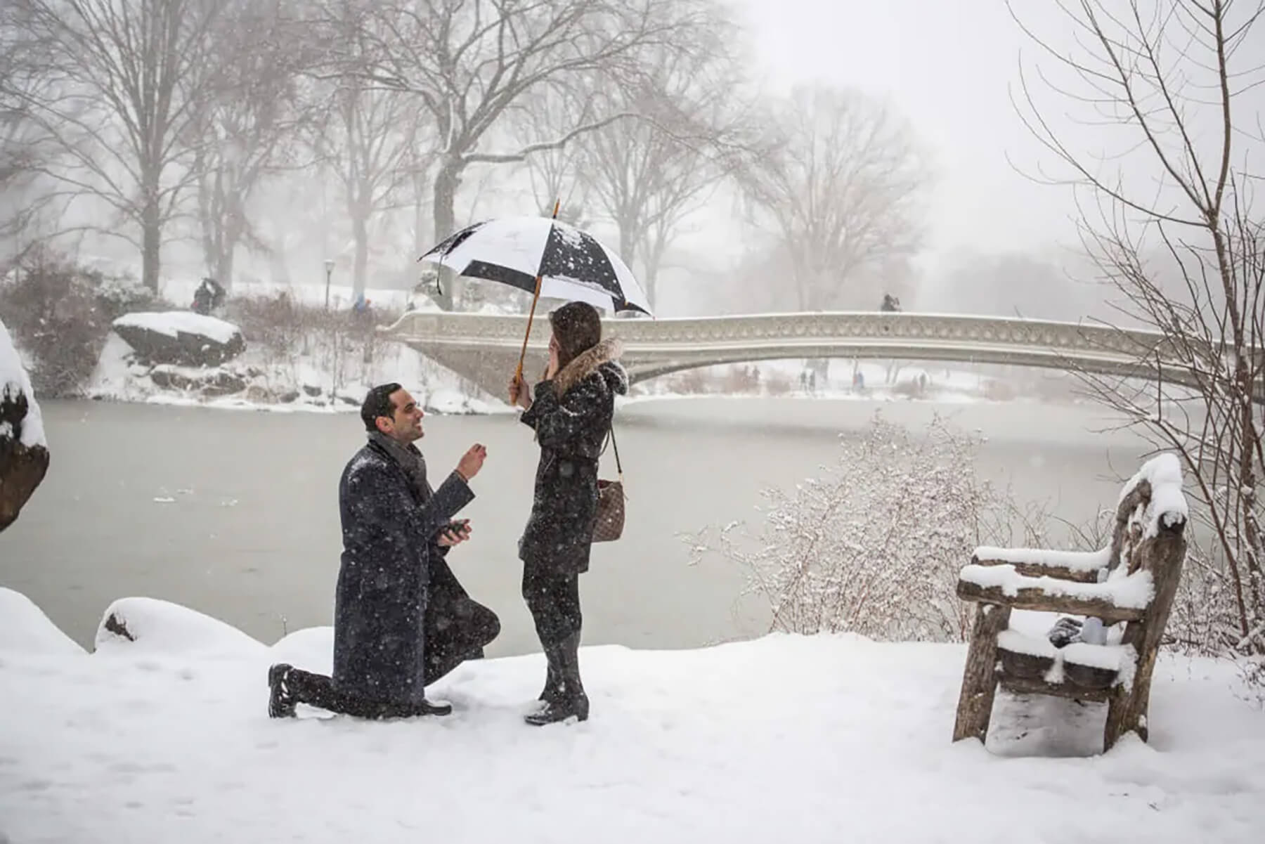 A perfect winter proposal in New York | Proposal Ideas and Planning