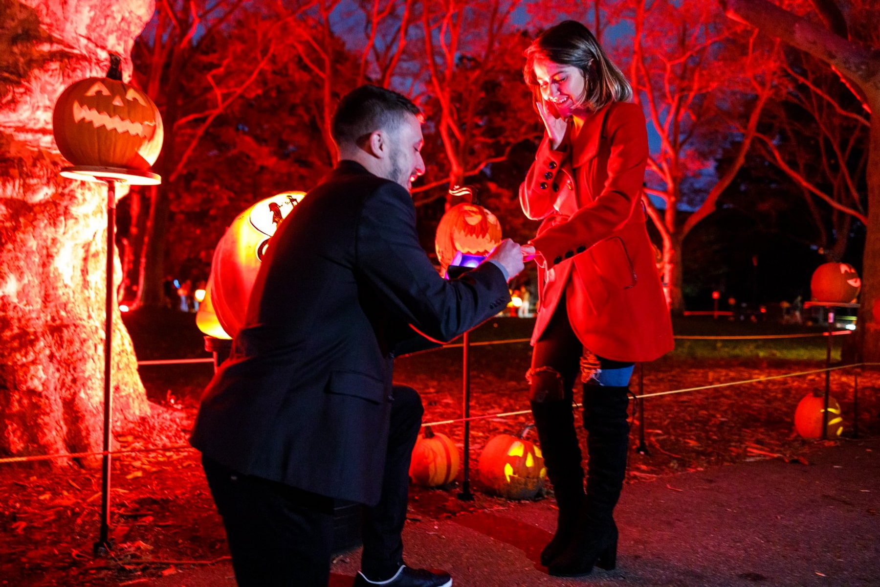 Halloween Inspired Pumpkin Carving Proposal | Proposal Ideas and Planning