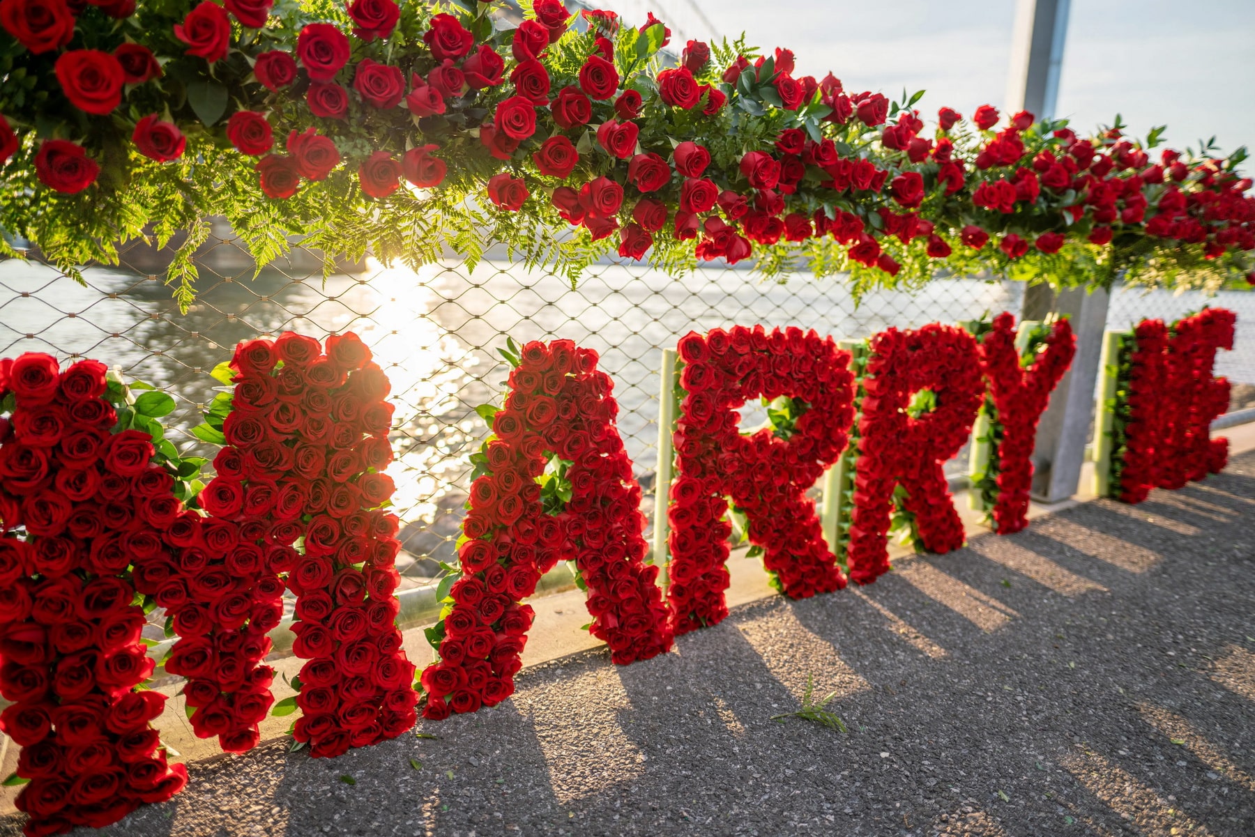 Custom marriage proposal planning | Proposal Ideas and Planning