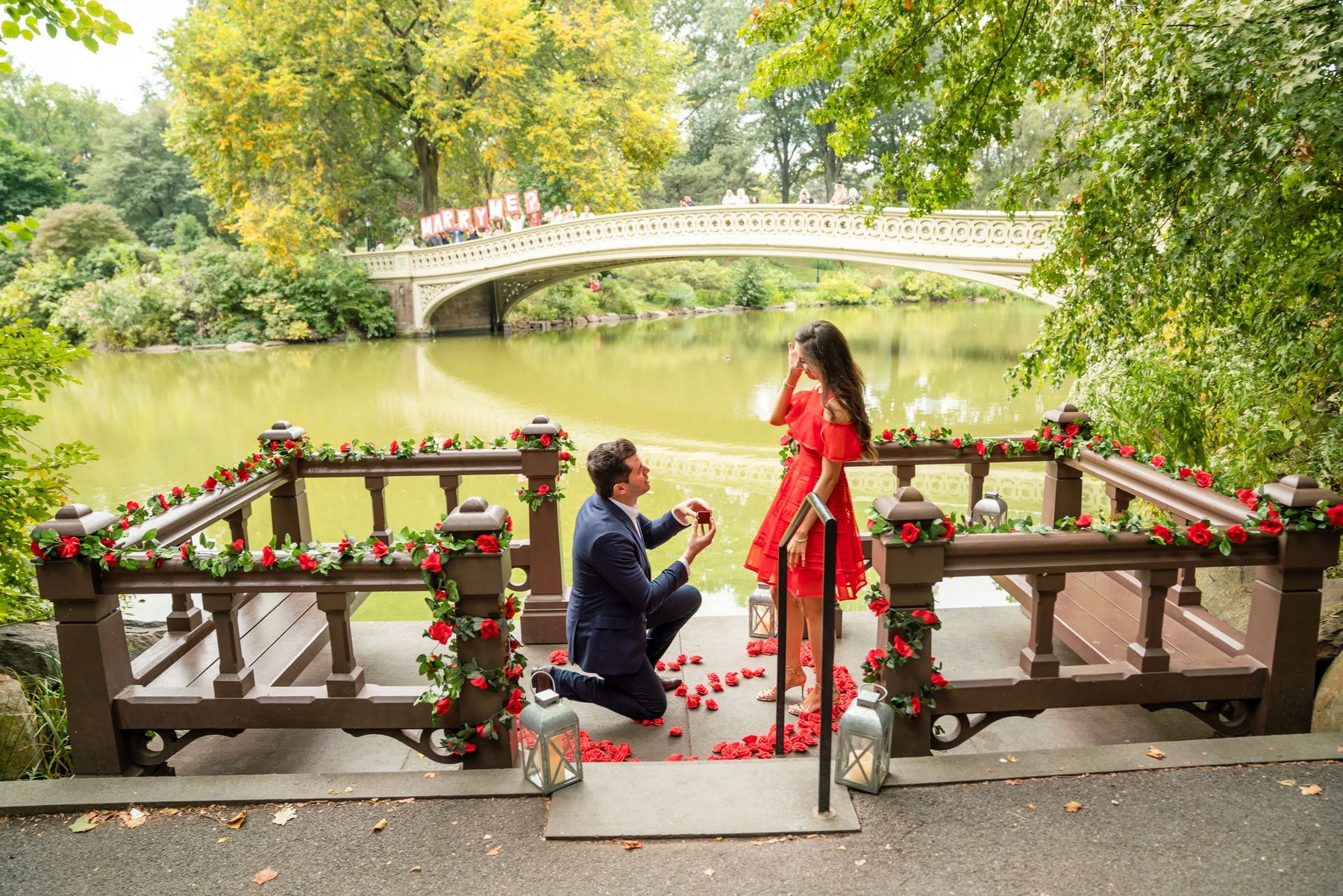 How to propose in style? | Proposal Ideas and Planning