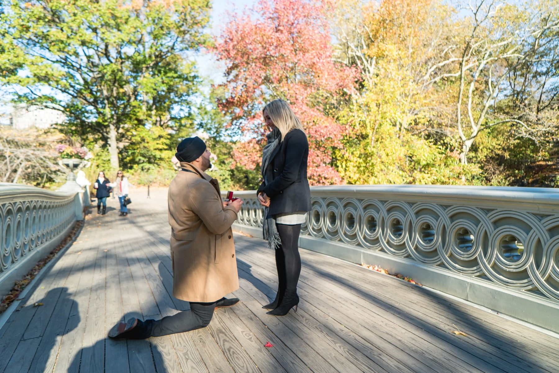 Perfect fall proposal ideas in New York | Proposal Ideas and Planning