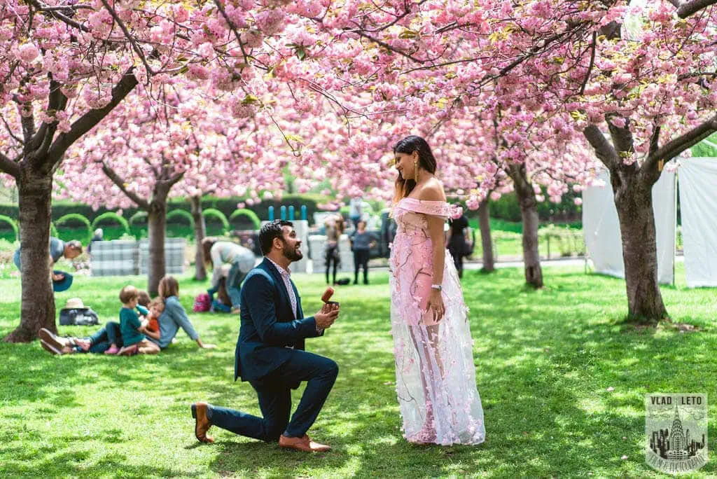 Marriage proposal ideas: 5 best proposal locations in Brooklyn ...