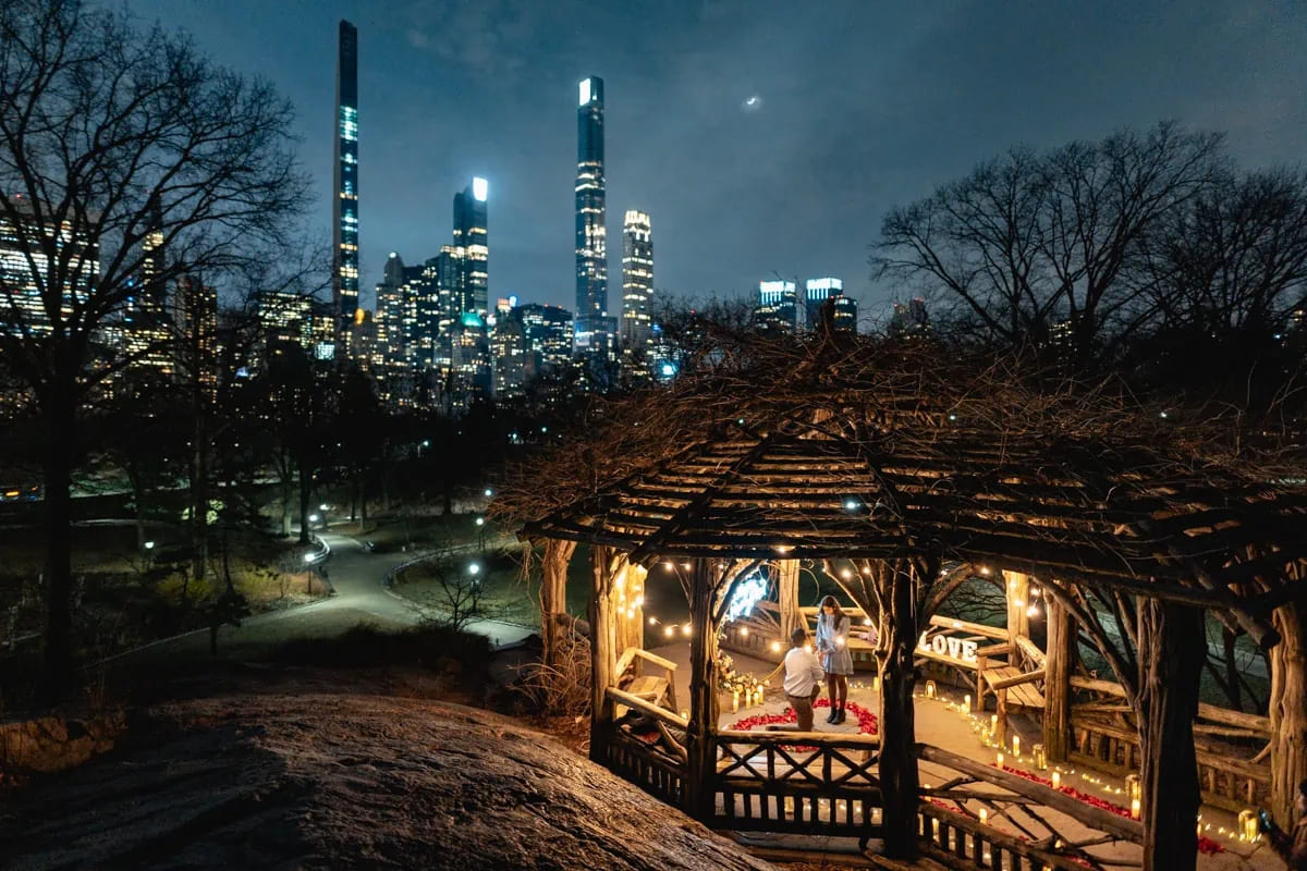 New York City proposal ideas: Romantic proposal in the park | Proposal ...